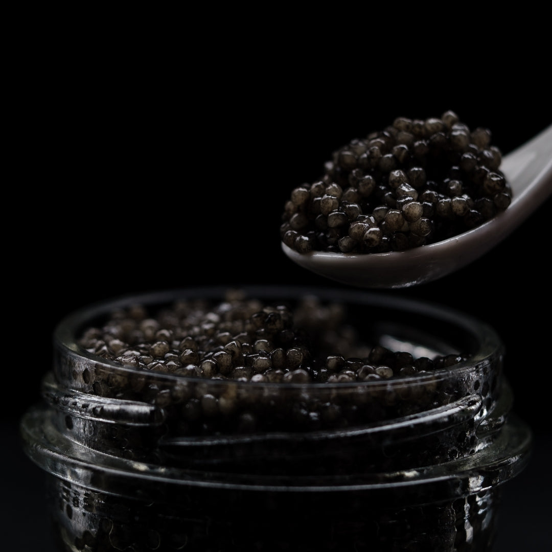 Buy Swedish Black Caviar Arctic Pearl - 0-2 days delivery – Swedish Wild